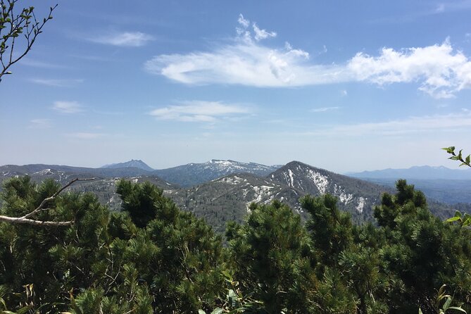 Green Season Half Day Hikes in Sapporo and Hokkaido With Onsen - Transportation and Accessibility