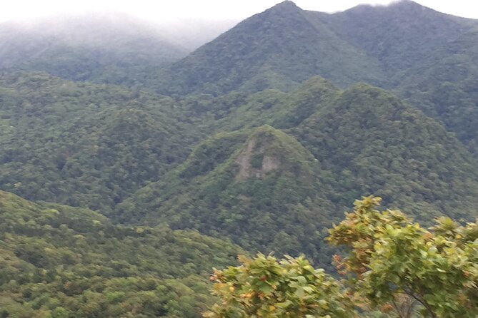 Green Season Half Day Hikes in Sapporo and Hokkaido With Onsen - Exploring the Green Season in Sapporo and Hokkaido