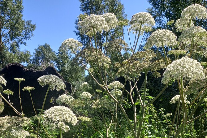 Green Venice Cycling Getaway - Pricing and Booking