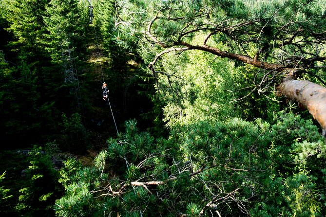 Green Zipline - Safety and Accessibility