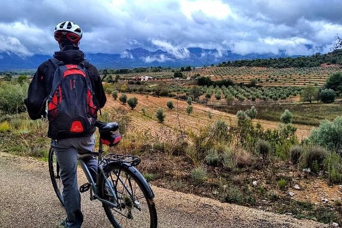 Greenway Section Cretas - Horta De Sant Joan 11KM (90% Descending 10% Flat) - Equipment and Services Included