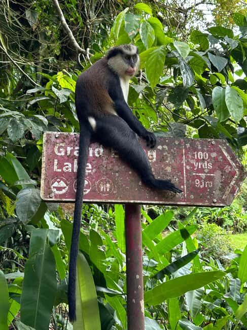 Grenada: Annandale Waterfall, Grand Etang, Grand Anse beach - A Practical Look at the Tour Experience