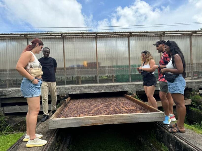 Grenada: Belmont Estate Tree to Bar Chocolate Workshop - An In-Depth Look at the Belmont Estate Tree to Bar Workshop