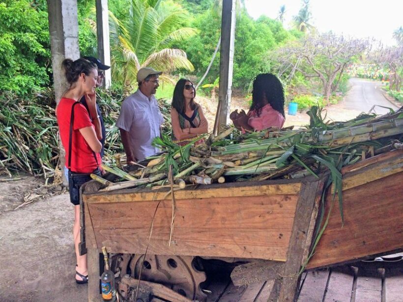 Grenada: Chocolate Tour & Lunch at Petite Anse - Final Thoughts