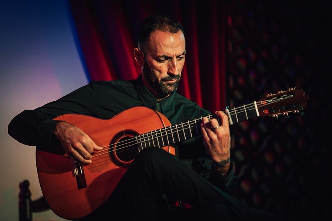 Grenada: Flamenco Palace, the Best Show in the Center - Passionate and Professional Flamenco Artists