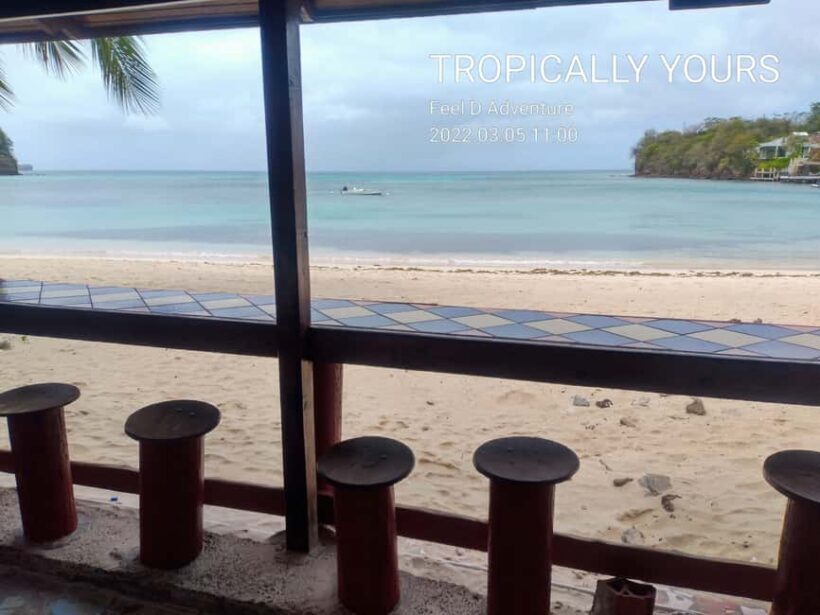 Grenada: Half-Day Island Tour with Waterfall Swim Stop - An In-Depth Look at the Tour