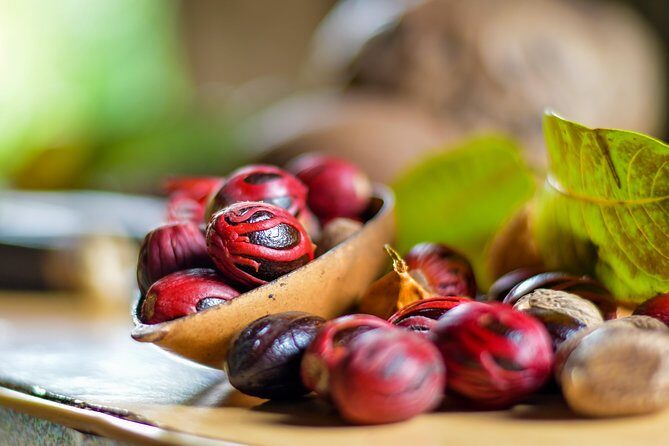 Grenada Half Day Tour: Fort, Spice, Falls, Chocolate & Lunch Stop - A Practical Look at the Tour Experience