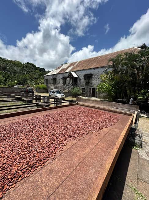 Grenada Half Day Tour: Fort, Spice, Falls, Chocolate & Lunch - Who Will Love This Tour?