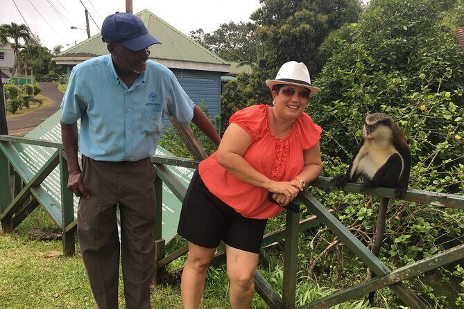 Grenada in a Nutshell- Deluxe Island Tour - Transportation, Timing, and Group Size