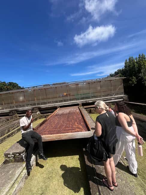 Grenada: Island Vibes in the Spice-Isle - Key Points