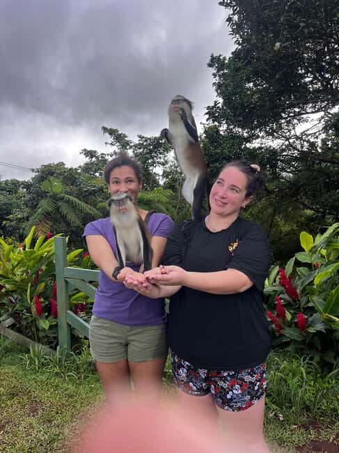 Grenada: Island Vibes in the Spice-Isle - What to Expect from the Grenada Island Vibes Tour