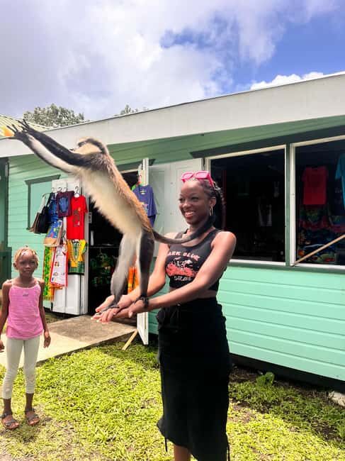 Grenada: Island Vibes in the Spice-Isle - How This Tour Offers Real Value