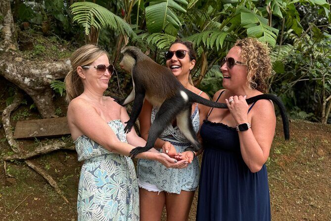 Grenada Nature and Heritage Escape Private Tour with Pickup - An Authentic Taste of Grenada in a Half-Day