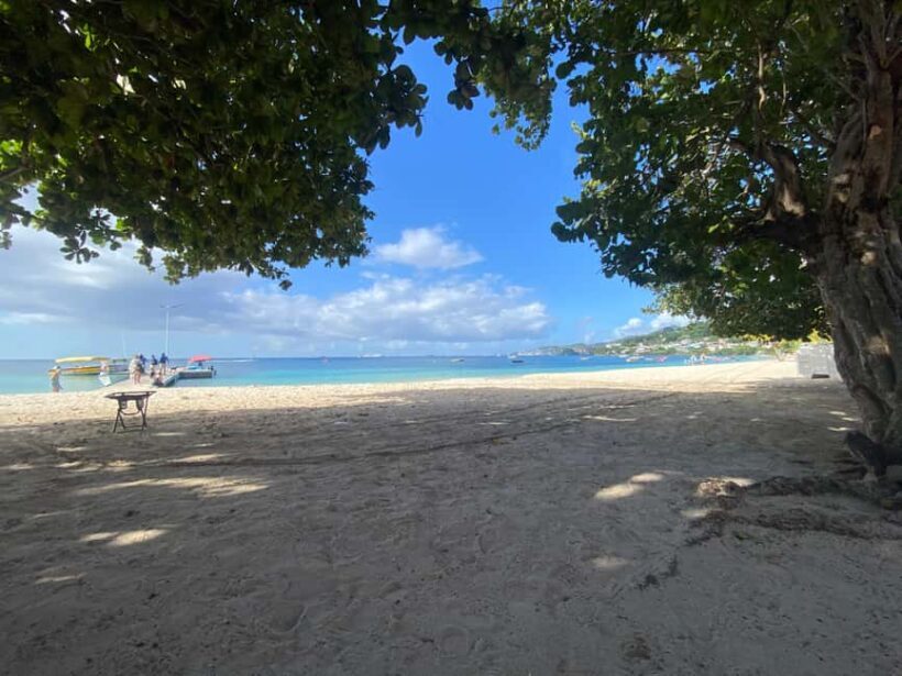 Grenada: Spice and Herb Garden Tour with Beach Visit - Why Visit a Spice Garden?