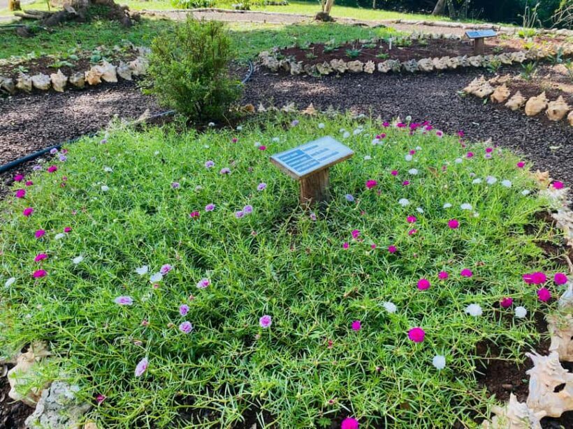 Grenada: Spice and Herb Garden Tour with Beach Visit - FAQs