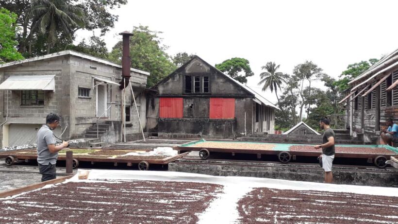 Grenada: Spice Island Expedition. - The Scenic Coastal Drive to Grand Etang National Park