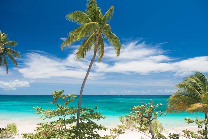 Grenada West Coast: Waterfalls, Chocolate & Rum Half-Day Tour - A Practical Guide to the Waterfalls, Chocolate & Rum Tour on Grenada’s West Coast