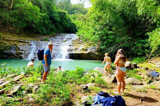 Grenada's nature adventures island tour discovery - Who Should Take This Tour?
