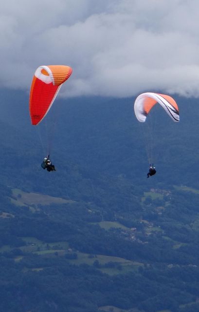 Grenoble: First Flight in Paragliding. - Scenic Views and Wildlife Sightings