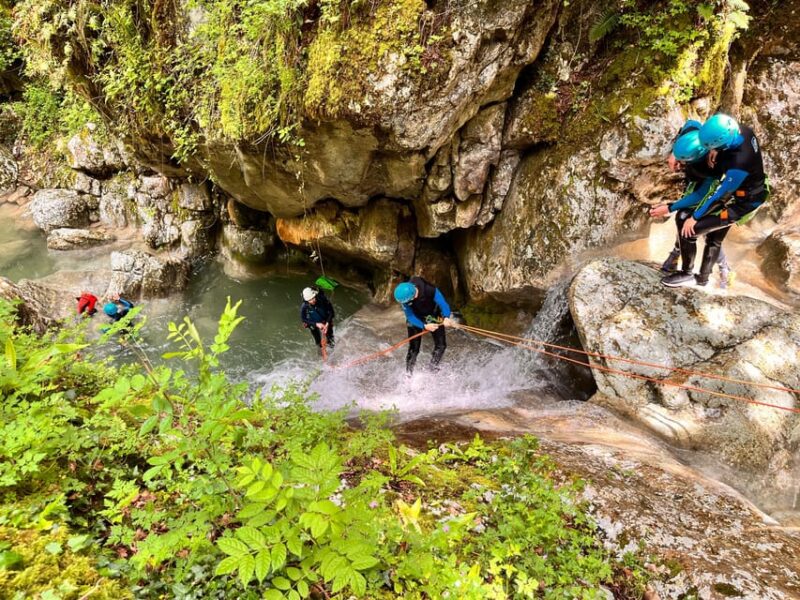 Grenoble, Vercors: Explore the Versoud Canyoning with fun - The Sum Up