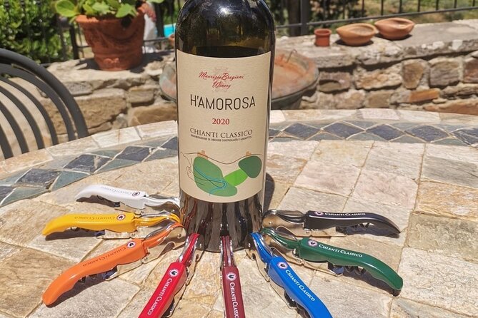 Greve in Chianti Wine Tasting and Winery Tour - Pairing Wines With Local Delicacies