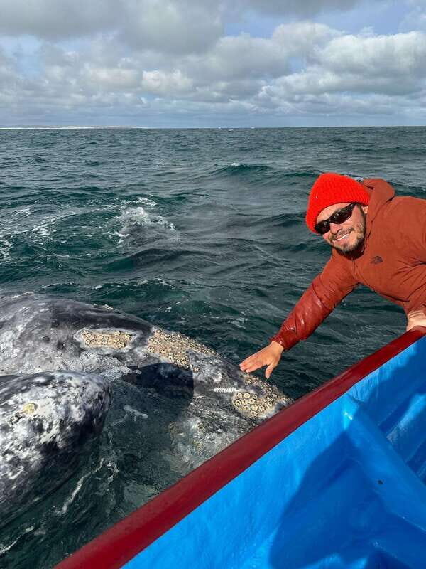 Grey Whale Watching at Mag Bay From Loreto - What’s Included and Practicalities