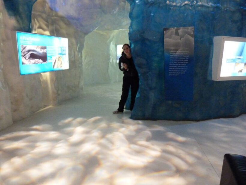 Greymouth: Glacier, Heritage & Wildlife Centre Guided Tour - An In-Depth Look at the Tour