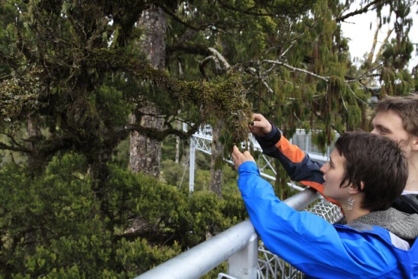 Greymouth: Glacier, Heritage & Wildlife Centre Guided Tour - Final Thoughts