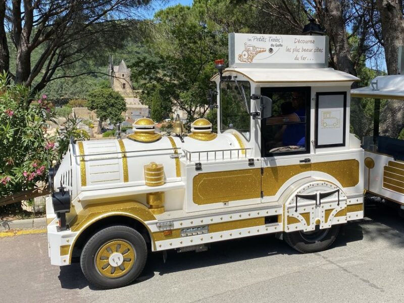 Grimaud: Guided Tour of Port Grimaud & Grimaud by Train - Visitor Guidelines and Meeting Point