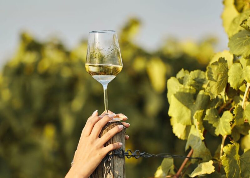 Grimaud: Horseback Riding & Wine Tasting in Maures Forest - Discovering the Charm of Provence with Horseback Riding & Wine Tasting in Maures Forest