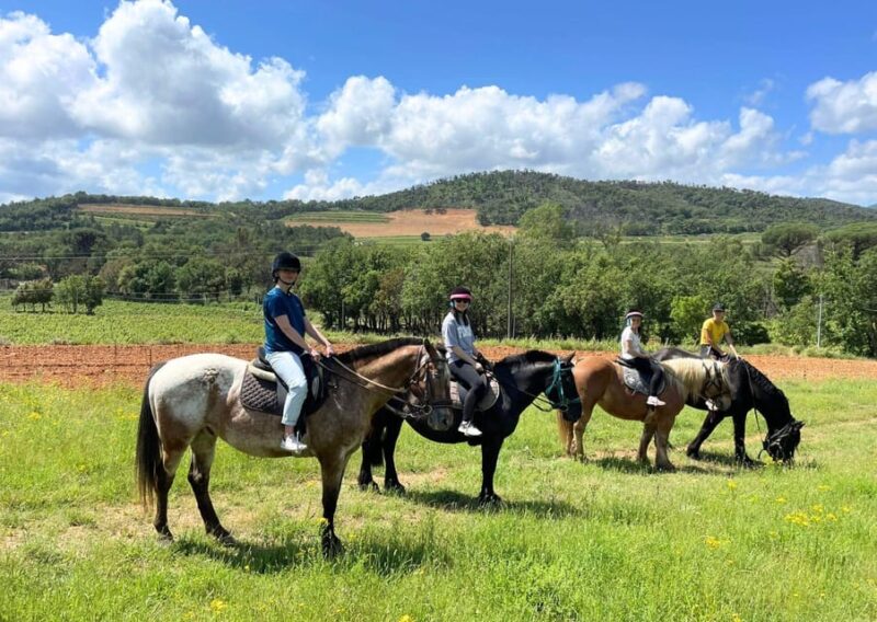 Grimaud: Horseback Riding & Wine Tasting in Maures Forest - Analyzing the Value: Is It Worth It?