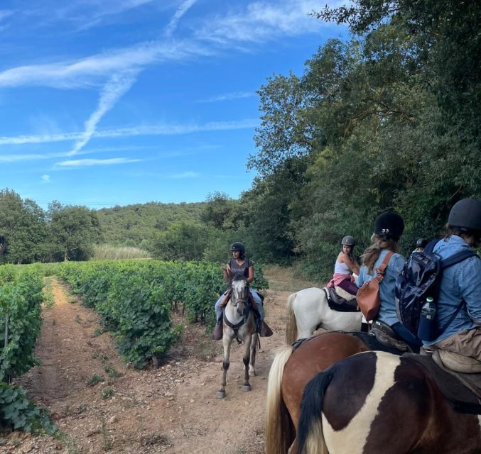 Grimaud: Horseback Riding & Wine Tasting in Maures Forest - Practical Tips for Participating