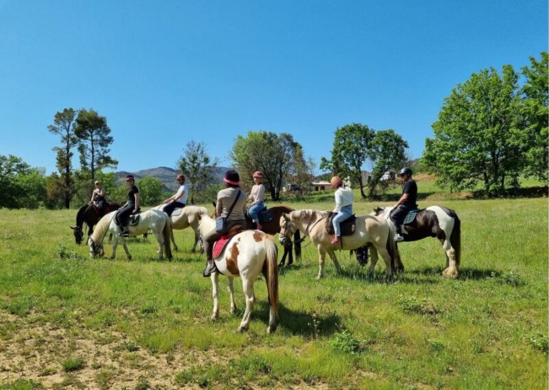 Grimaud: Horseback Riding & Wine Tasting in Maures Forest - The Sum Up: A Quiet Adventure with a Flavour of Provence