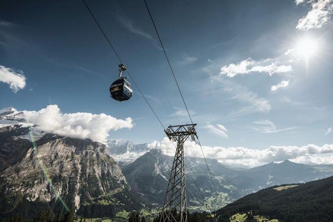 Grindelwald First - Top of Adventure From Zurich - Transportation and Logistics