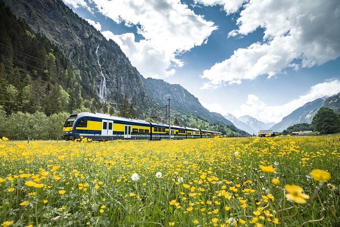 Grindelwald First - Top of Adventure From Zurich - Customer Feedback and Recommendations