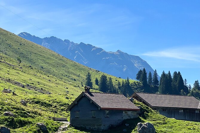 Grindelwald, Lauterbrunnen & Brienz from Zurich - Who Will Love This Tour?