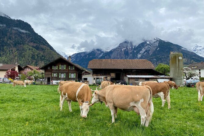 Grindelwald, Lauterbrunnen & Mürren Private Day Trip From Zurich - Adventuring in Grindelwald