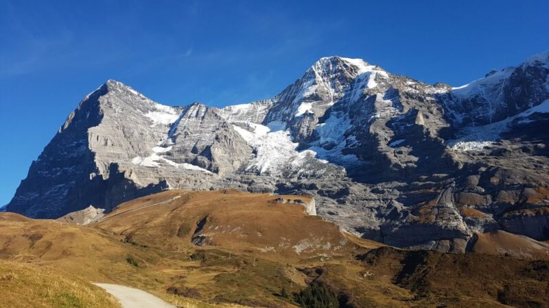 Grindelwald-Scheidegg-Lauterbrunnen Small Group Tour - Customer Feedback and Ratings