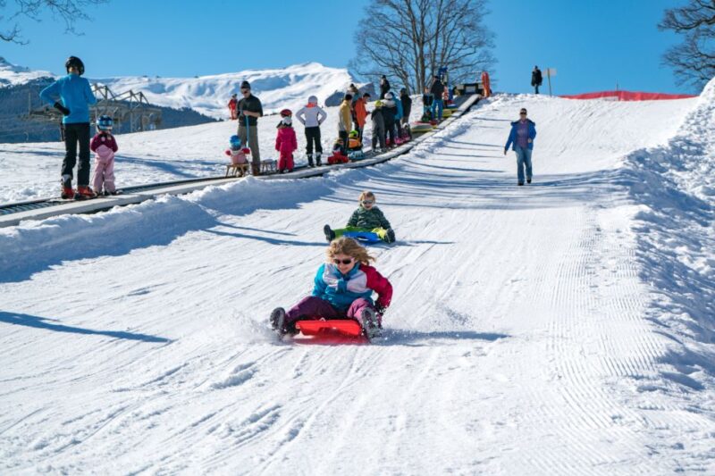 Grindelwald: Sledding and Tubing in Bodmi Arena - Activities and Rentals