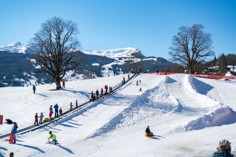 Grindelwald: Sledding and Tubing in Bodmi Arena - Planning Your Bodmi Arena Experience