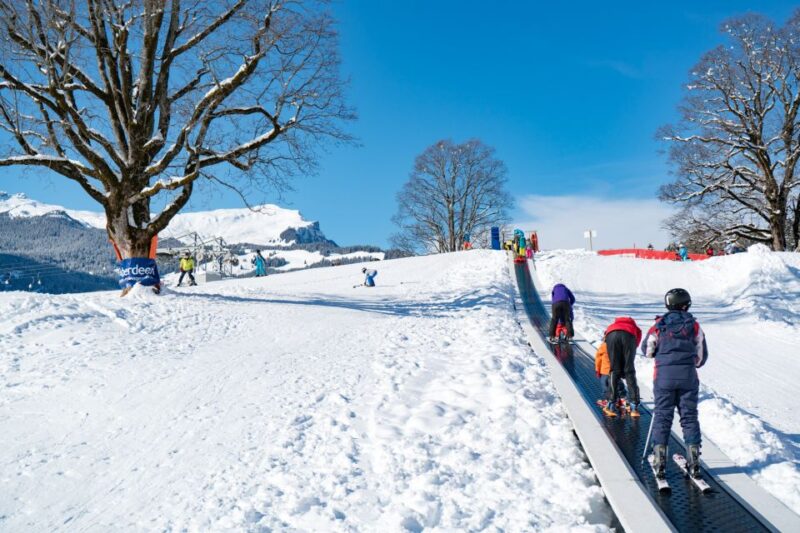 Grindelwald: Sledding and Tubing in Bodmi Arena - Since You Asked