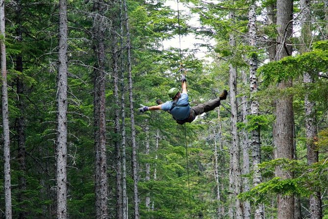 Grizzly Falls Ziplining Expedition - Safety and Accessibility