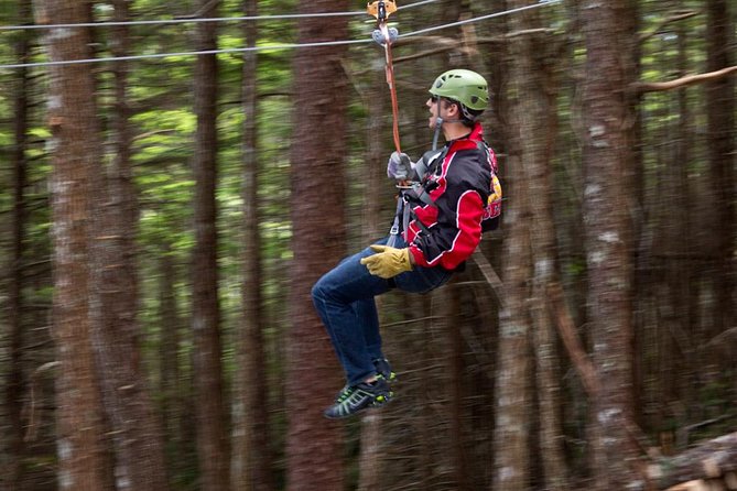 Grizzly Falls Ziplining Expedition - Ziplining Thrill