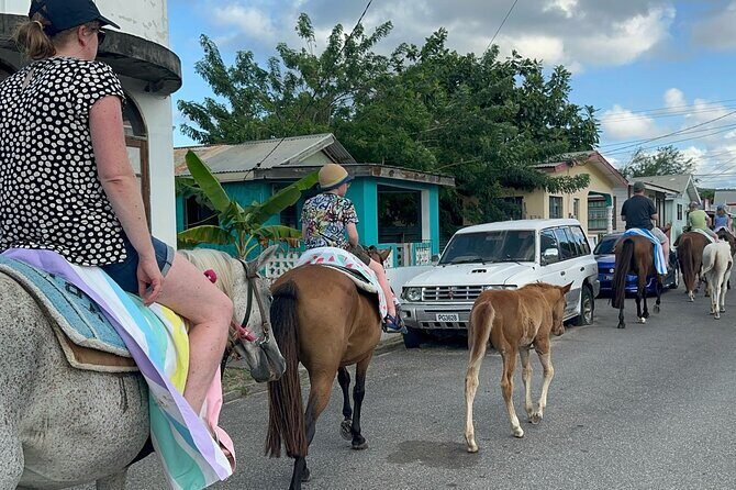 Gros Islet Village Horseback Riding run with Dore's riding Stable - A Closer Look at the Gros Islet Village Horseback Riding Tour