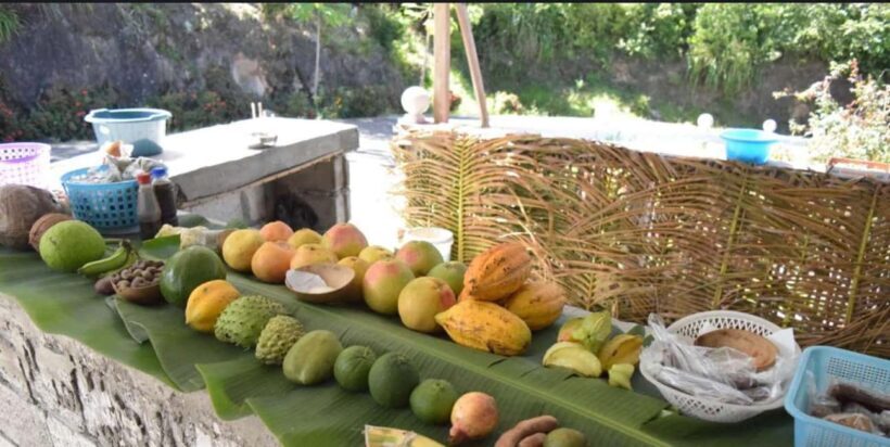 Gros Piton Adventure with Tour For The Day - Who Will Love This Tour?