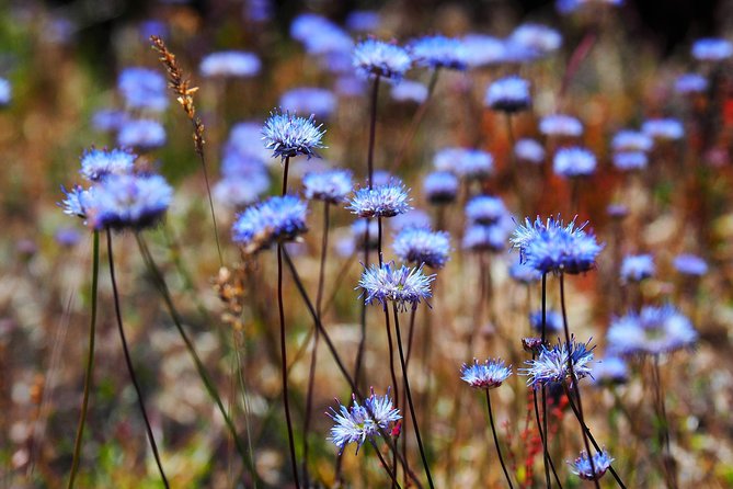 Grotta Serracozzo and Valle del Bove - Key Points