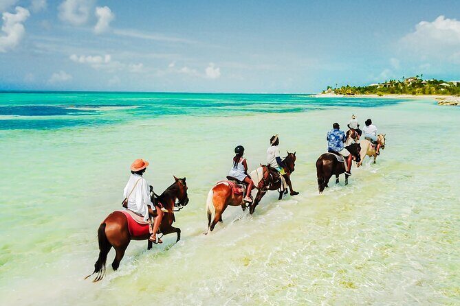 Group Beach and Ocean Horseback Adventure in Providenciales - What Makes This Tour Worth Considering