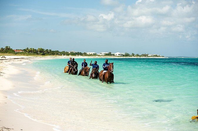 Group Beach and Ocean Horseback Adventure in Providenciales - Who Would Love This Experience?
