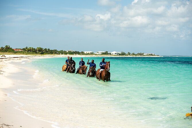 Group Beach and Ocean Horseback Adventure in Providenciales - The Sum Up