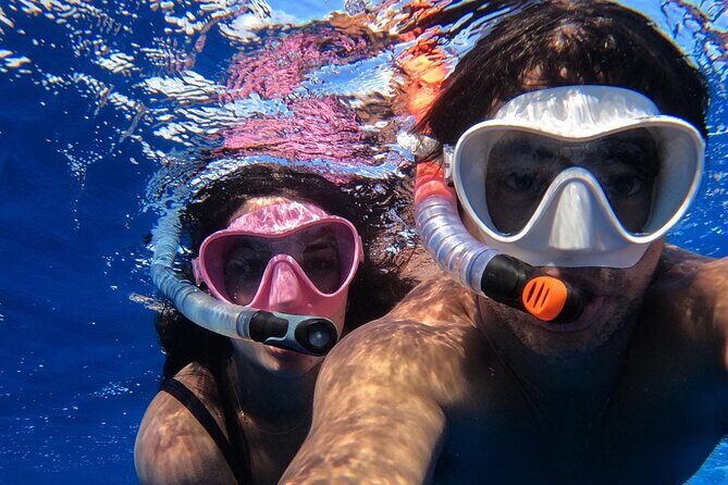 Group Catamaran 4 hr tour coral reef fun Iguana island adventure! - Practical Considerations